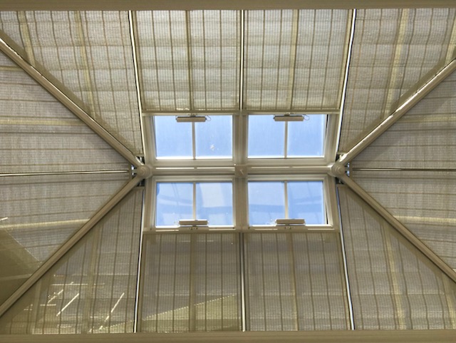 Original French Pinoleum Blinds - Appeal Home Shading